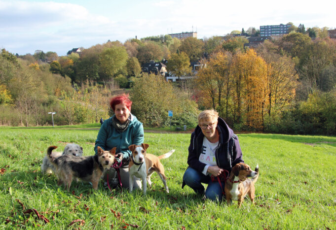 Solingen: Fellfreunde feiern zehnten Geburtstag | Das SolingenMagazin