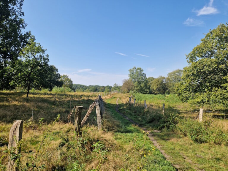 Der Jaberg in Hilden – Ein Naturparadies mit Geschichte und Charme ...
