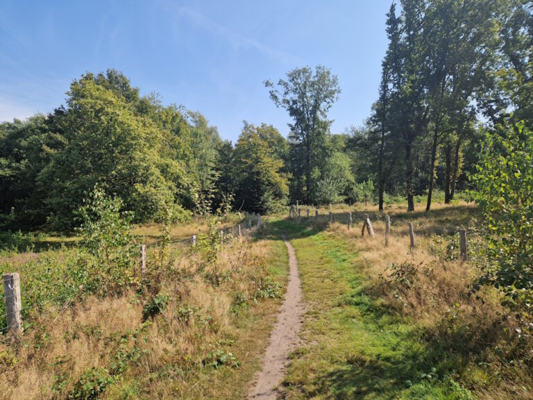 Der Jaberg in Hilden – Ein Naturparadies mit Geschichte und Charme ...